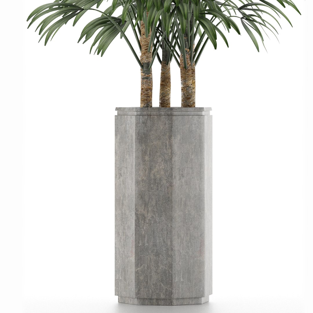 Single Plant 15 3D - TurboSquid 1586394