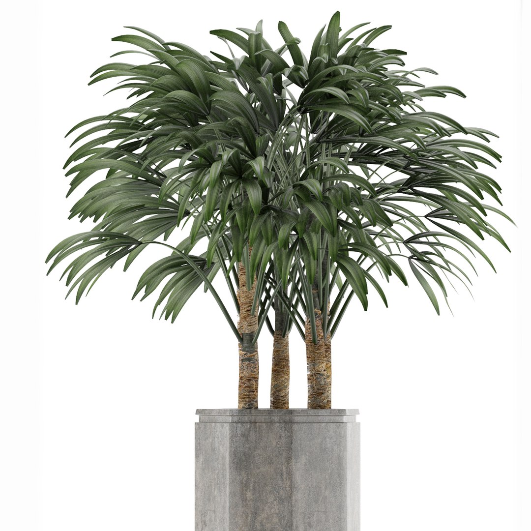 Single plant 15 3D - TurboSquid 1586394