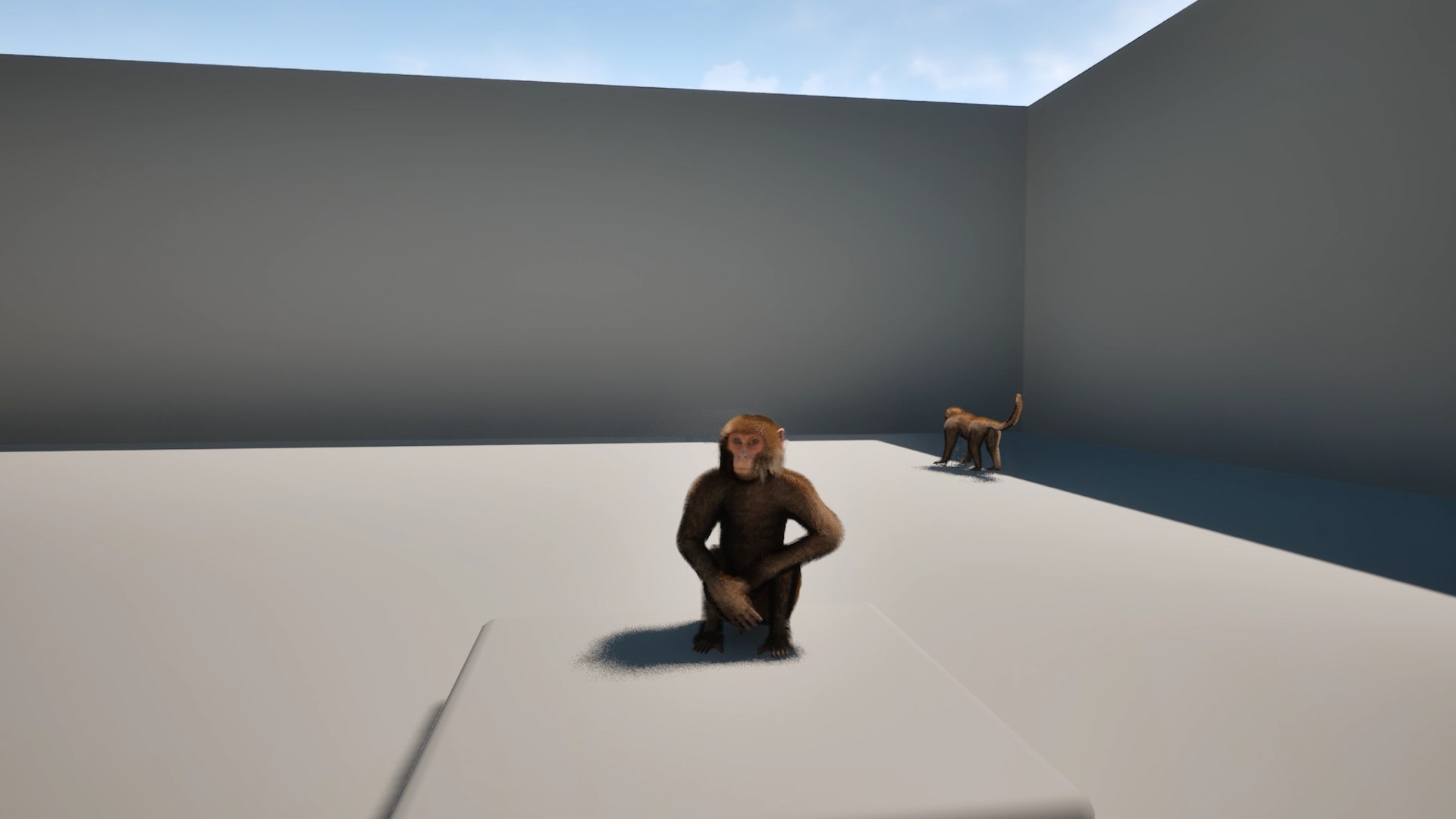3D Small Monkey Animated - TurboSquid 2118886