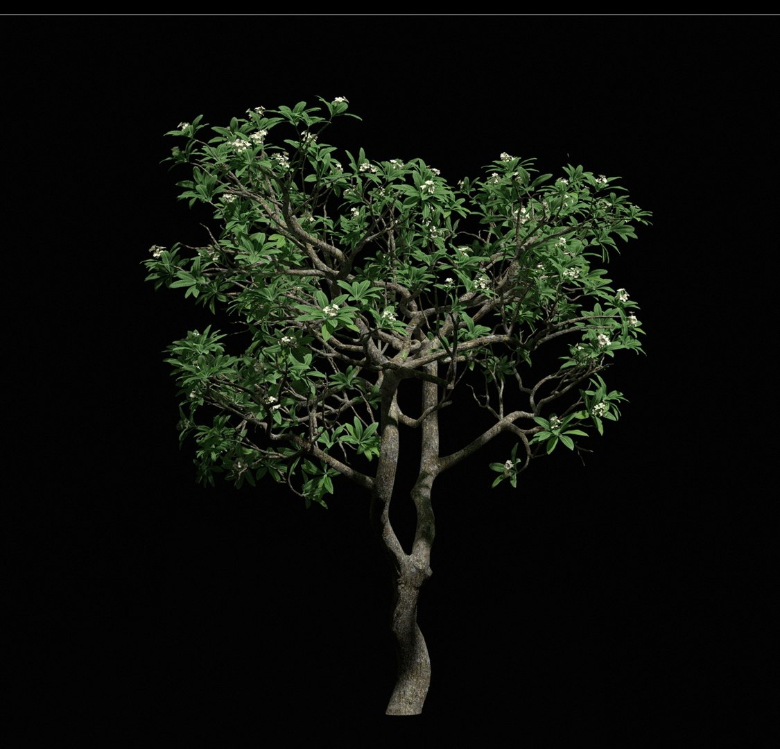 3d Model Hi Resolution Tree