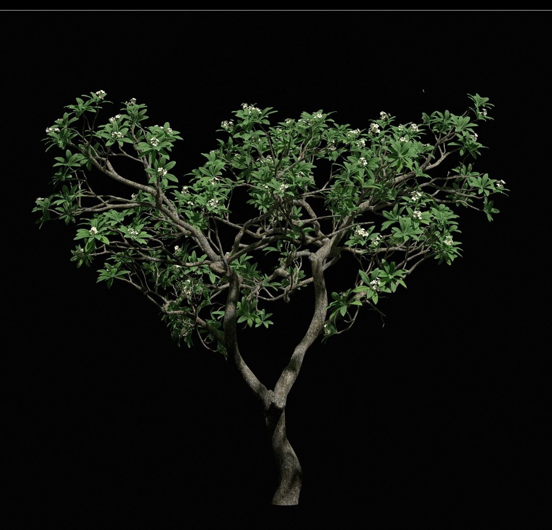3d Model Hi Resolution Tree