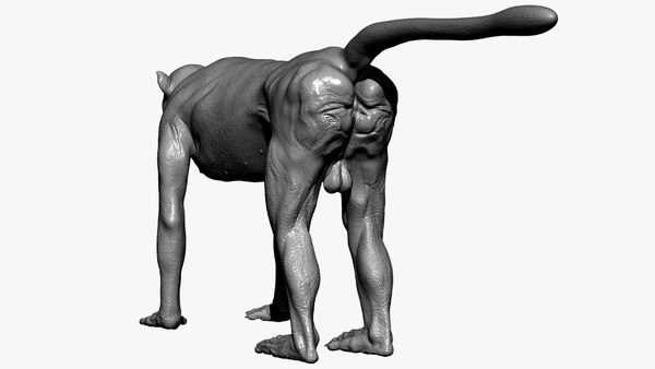 Hair realistic ornatrix model - TurboSquid 1615547