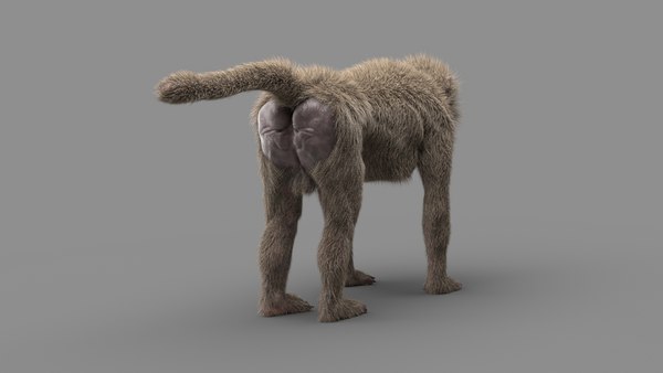 Hair realistic ornatrix model - TurboSquid 1615547