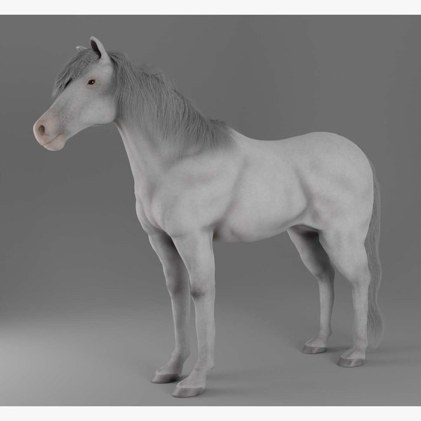 Caballos STL Modelos para Descargar | TurboSquid