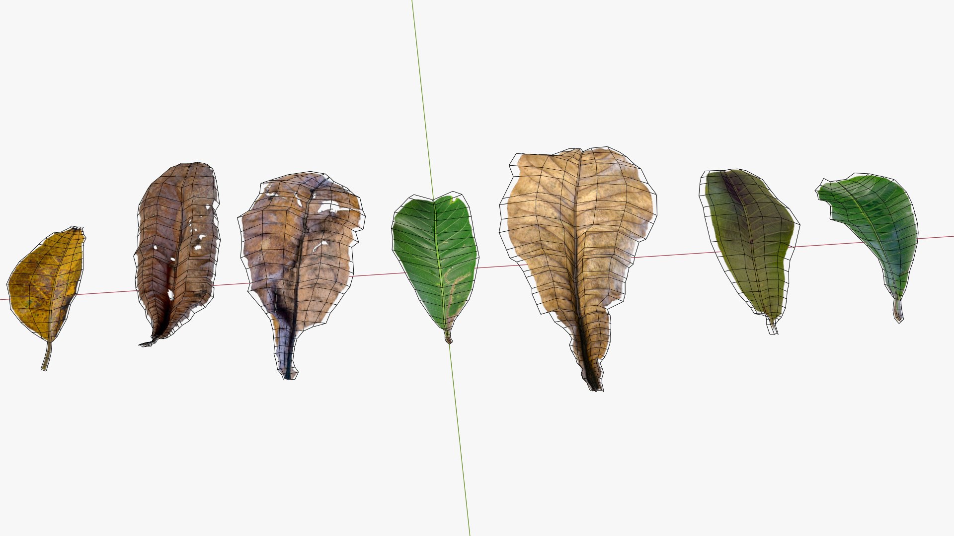 Free 3D 7 Different Autumn Leaves Model - TurboSquid 2380247