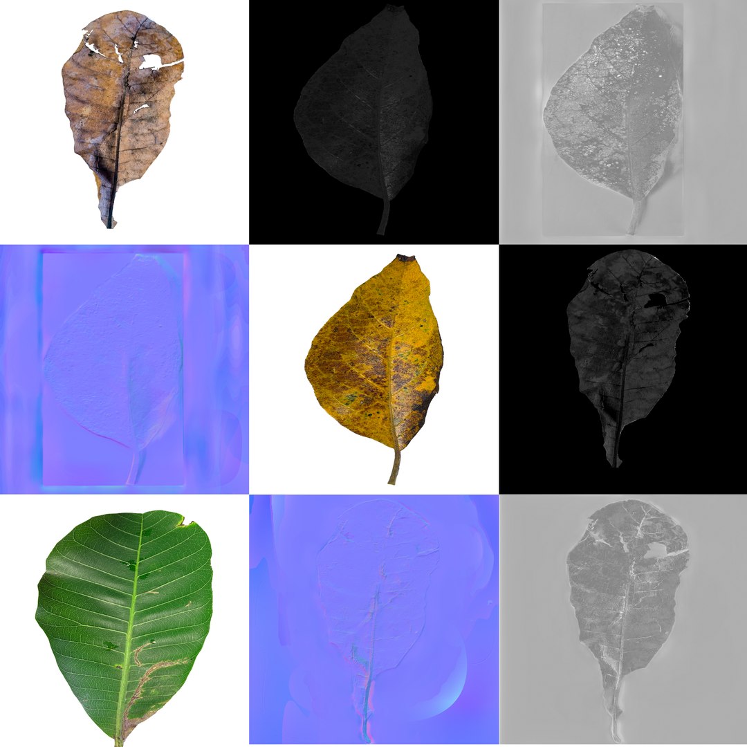 Free 3D 7 Different Autumn Leaves Model - TurboSquid 2380247