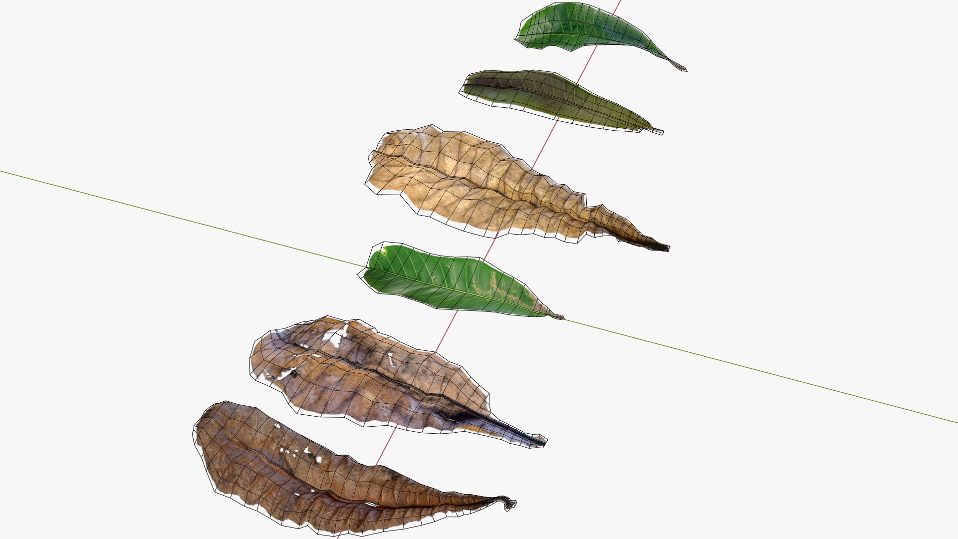 Free 3D 7 Different Autumn Leaves Model - TurboSquid 2380247