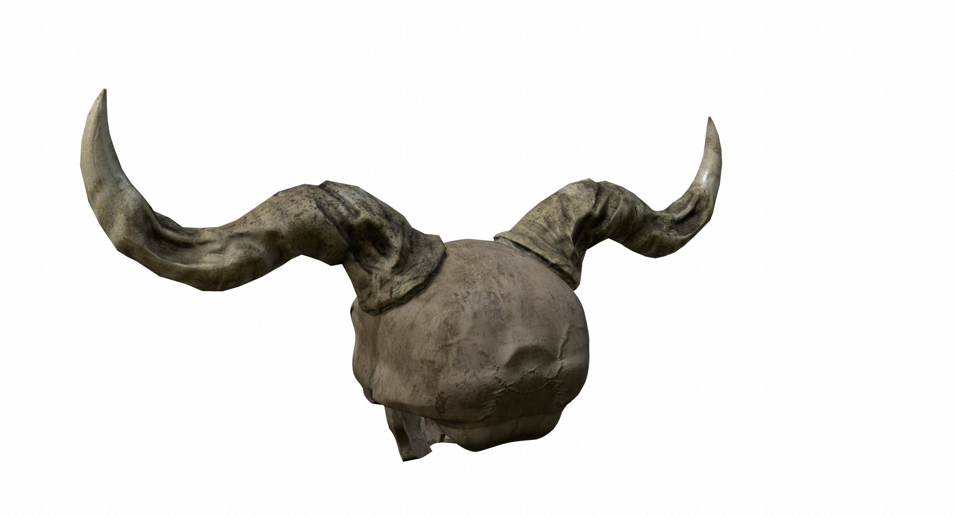 3d Model Horns Skull