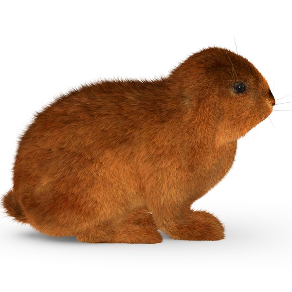 3d rabbit red fur