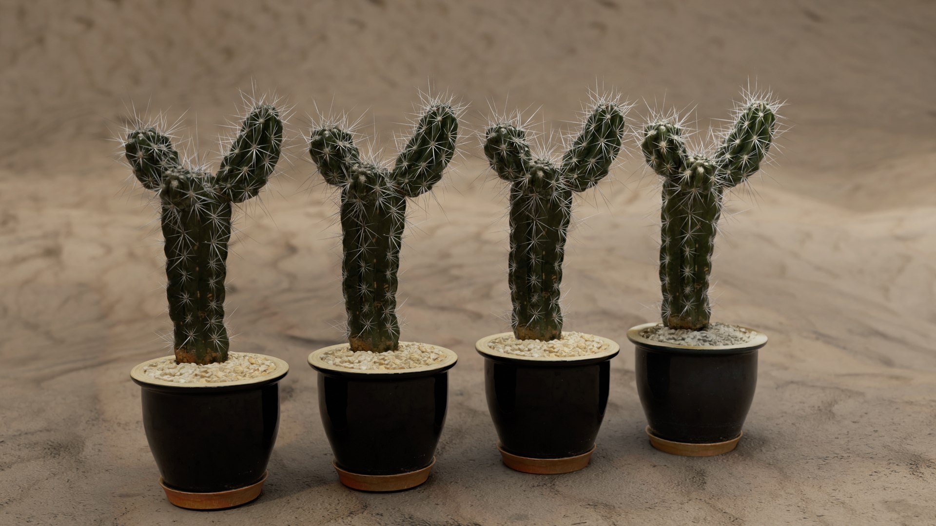 3D Cactus Model Pack - 3D Scan With LODs 3D Model - TurboSquid 2260018