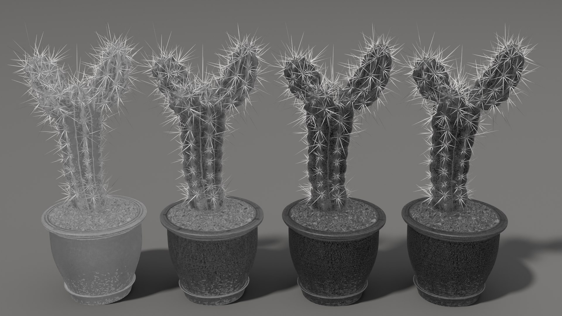 3D Cactus Model Pack - 3D Scan With LODs 3D Model - TurboSquid 2260018