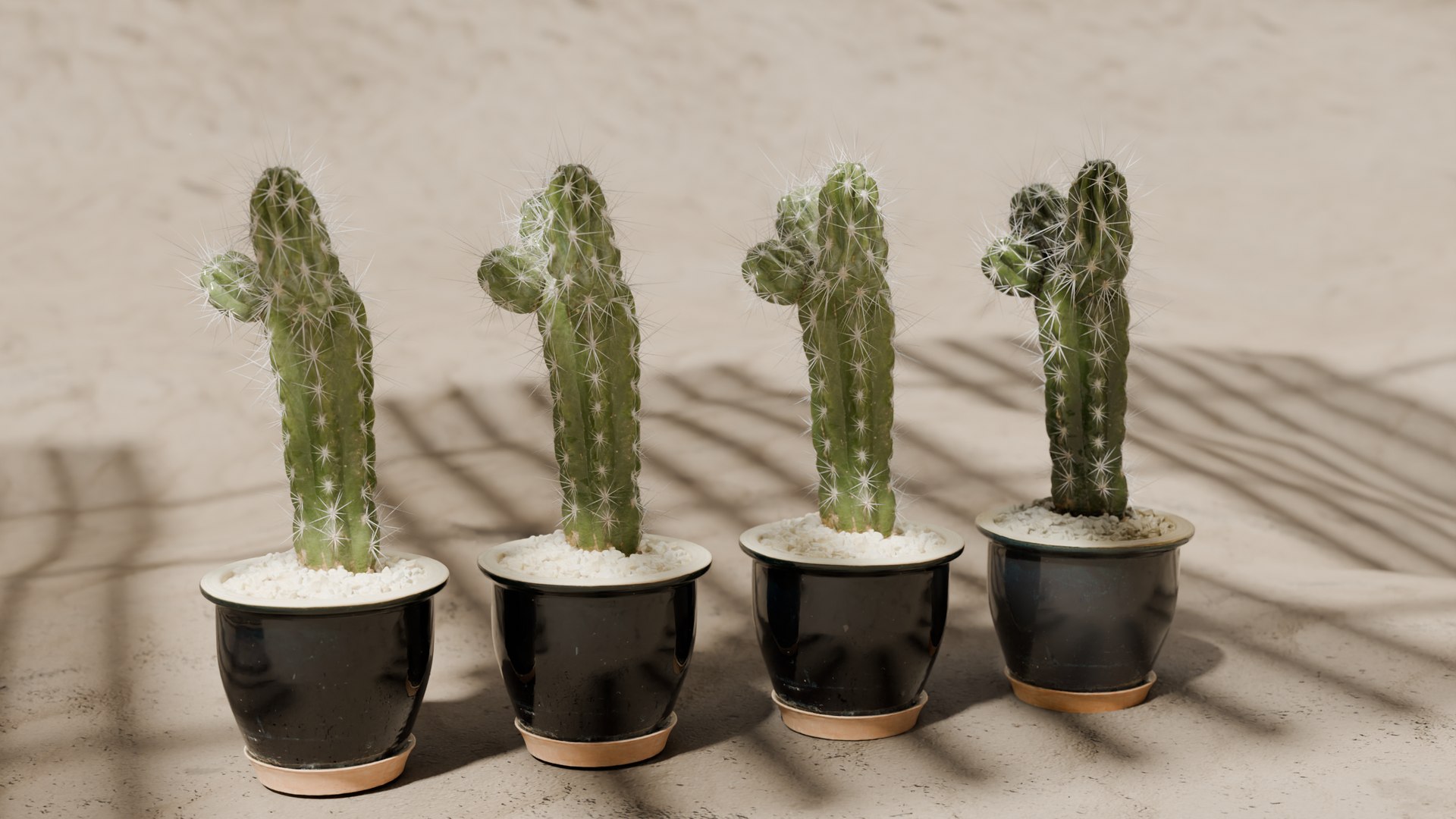 3D Cactus Model Pack - 3D Scan With LODs 3D Model - TurboSquid 2260018