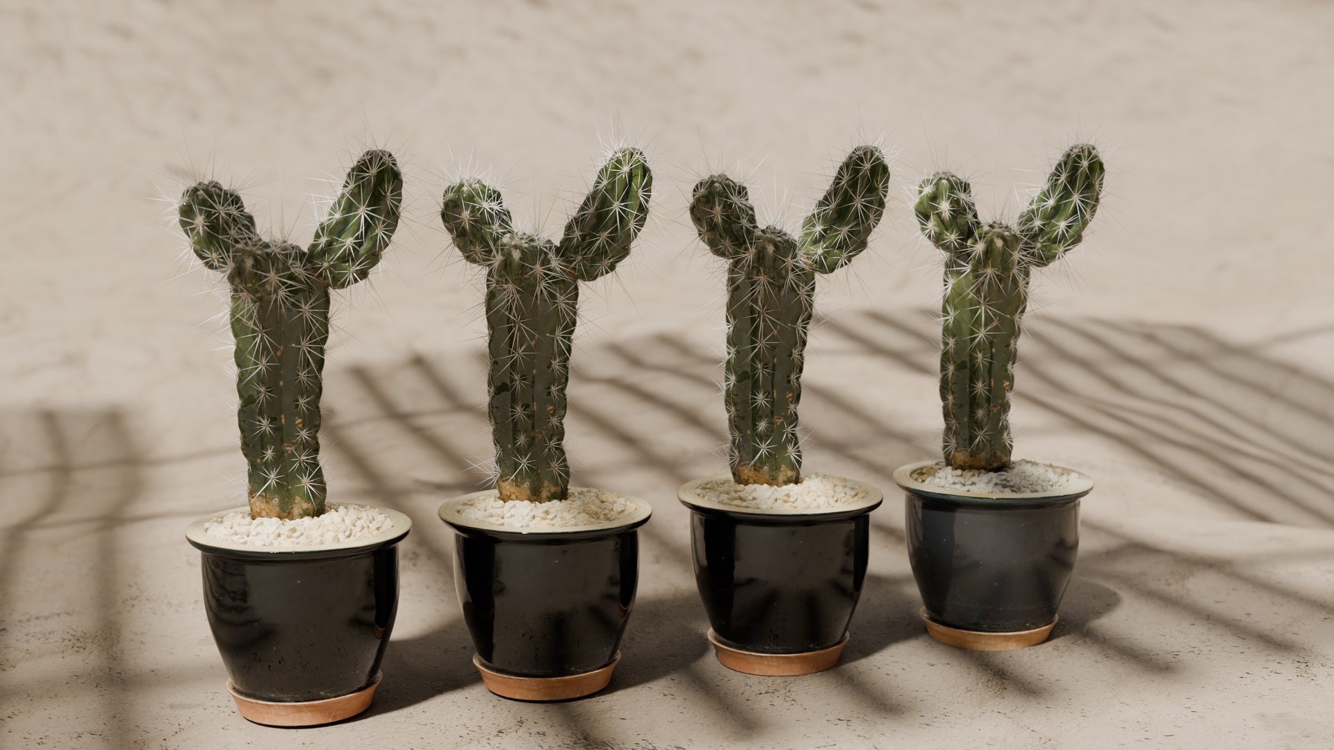 3D Cactus Model Pack - 3D Scan With LODs 3D Model - TurboSquid 2260018