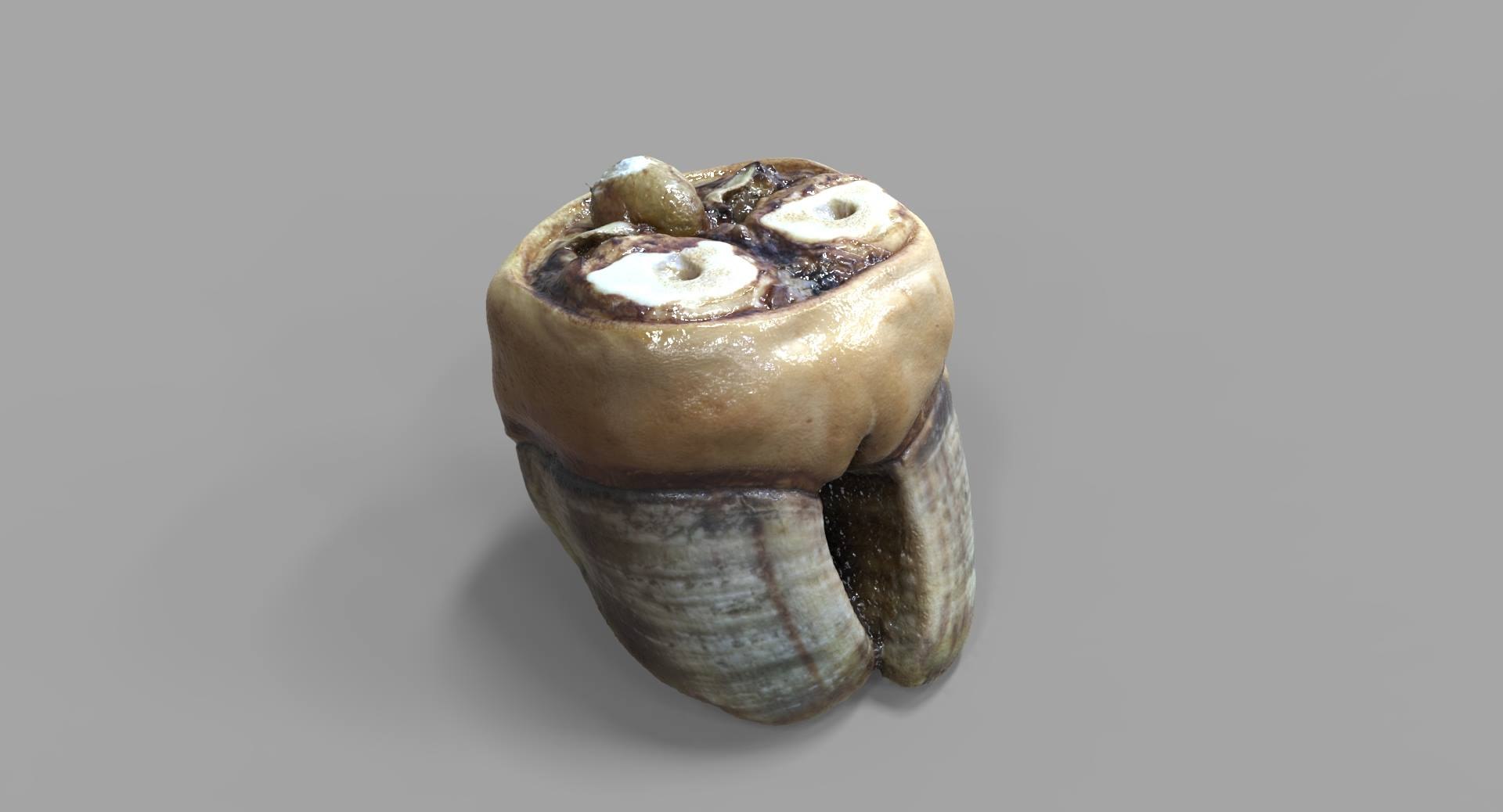 3d model cow hoof