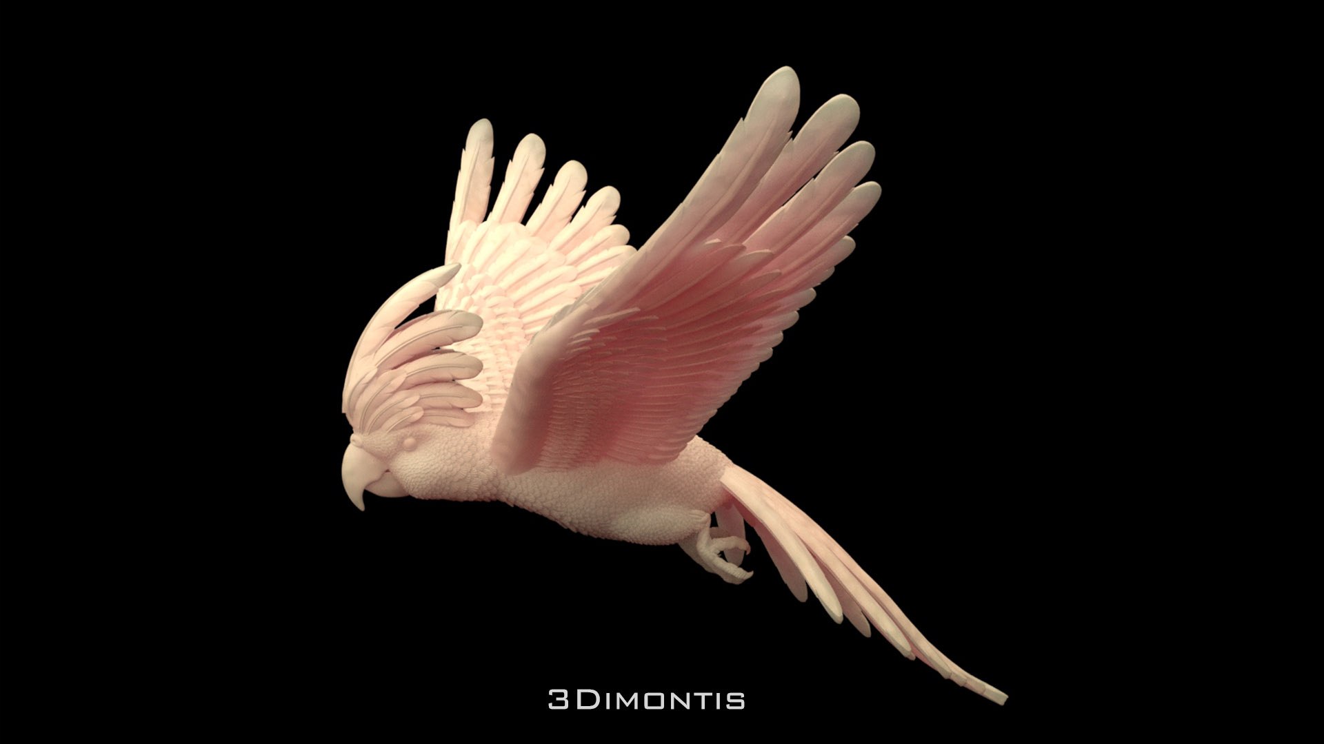 Parrot 3D - TurboSquid 2407130
