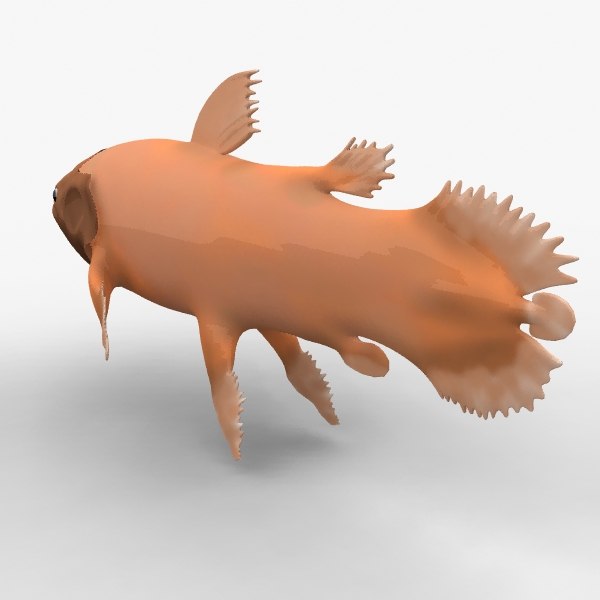 coelacanth prehistoric 3d model