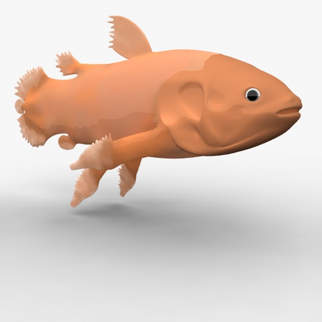 coelacanth prehistoric 3d model