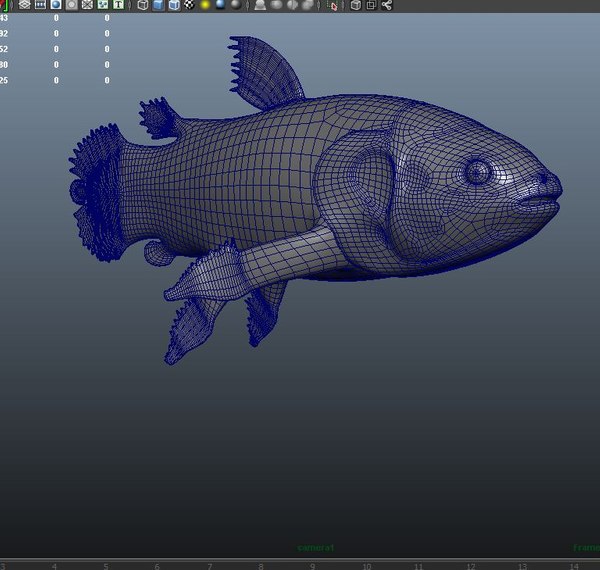 coelacanth prehistoric 3d model