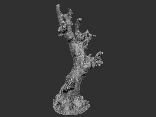 3D scan ancient - TurboSquid 1328347