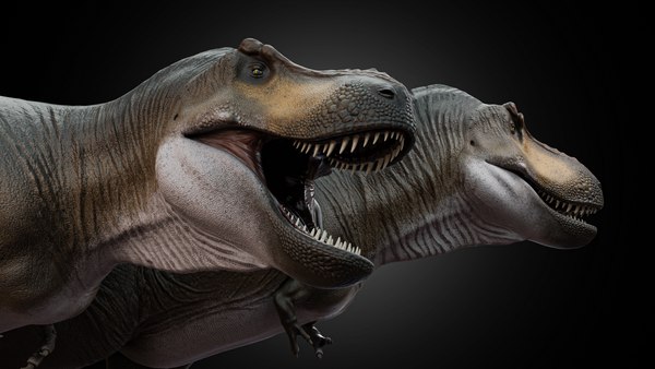 Tiranossauro rex Exemplar ED Cope Modelo 3D - TurboSquid 2125323