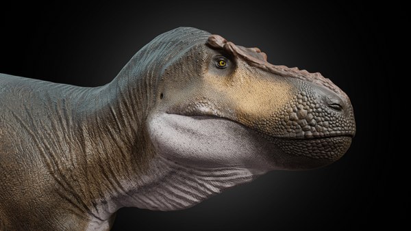 Tiranossauro rex Exemplar ED Cope Modelo 3D - TurboSquid 2125323