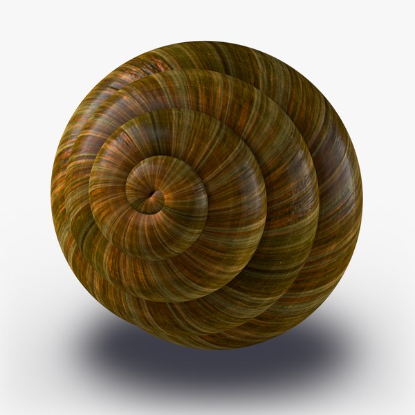 obj snails shell