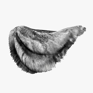 3D Shawl Models | TurboSquid