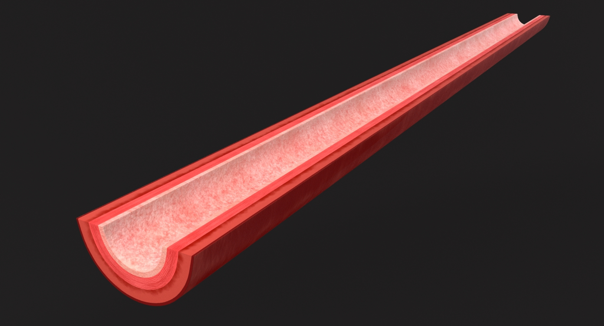 3D blood vessel model - TurboSquid 1324190