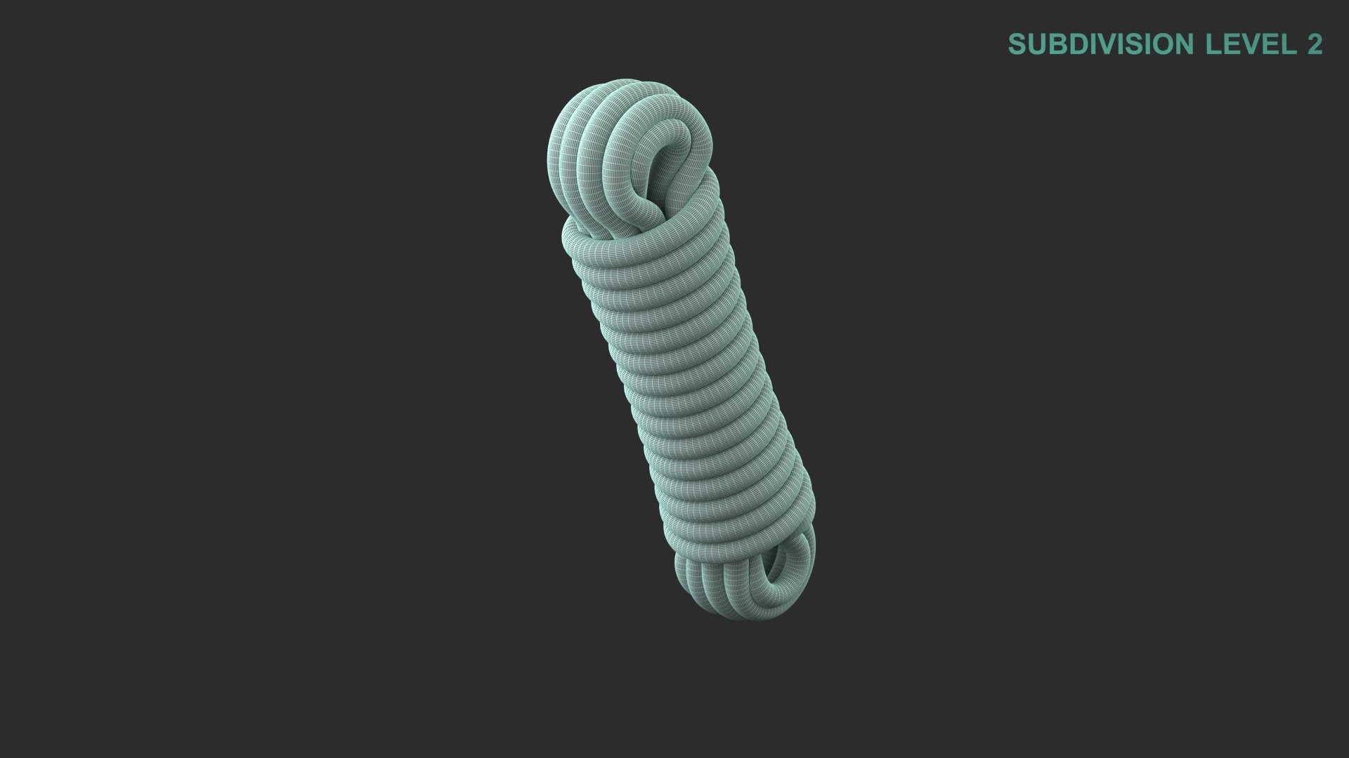 3D model Rope - TurboSquid 2000637