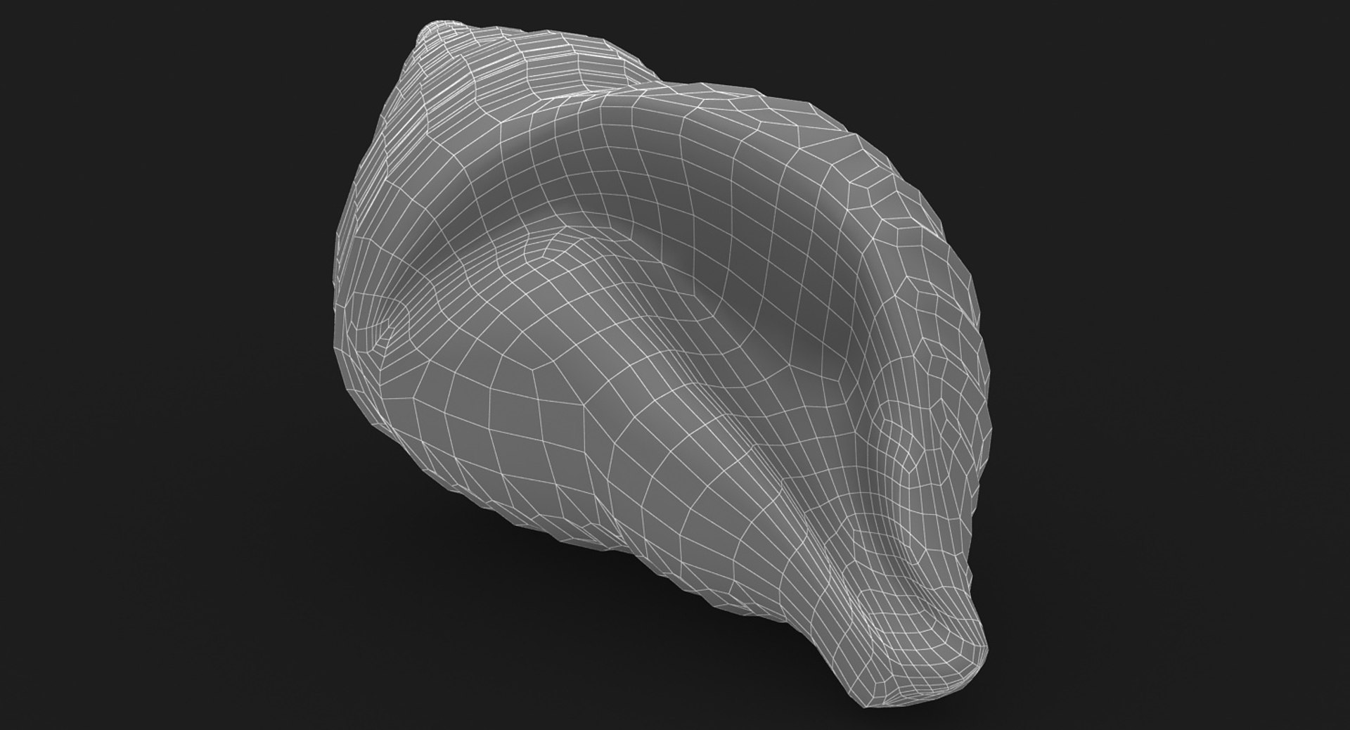 3D Sea Shell - TurboSquid 1149252