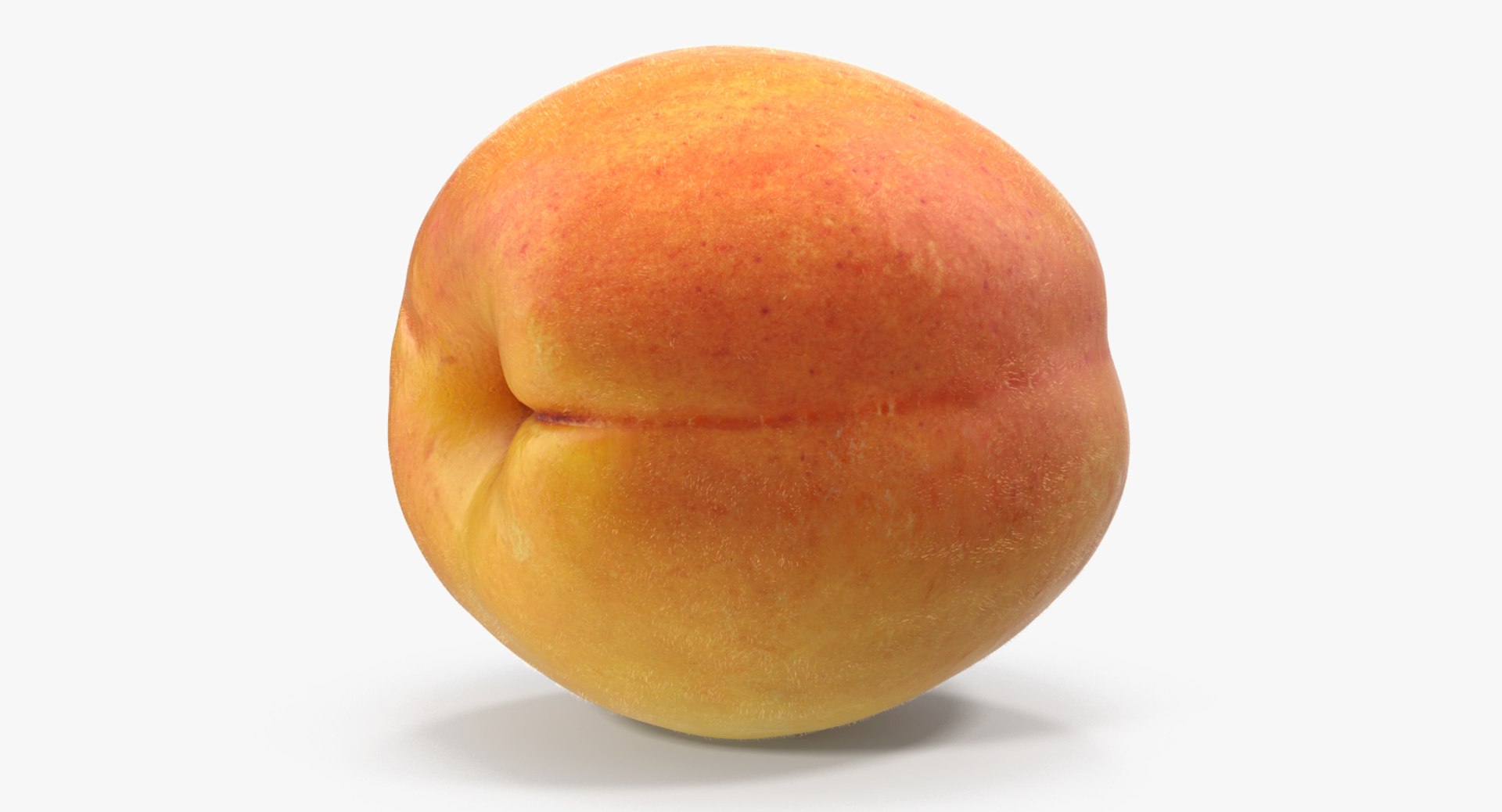 3D Apricot Object Realistic Model - TurboSquid 1192522
