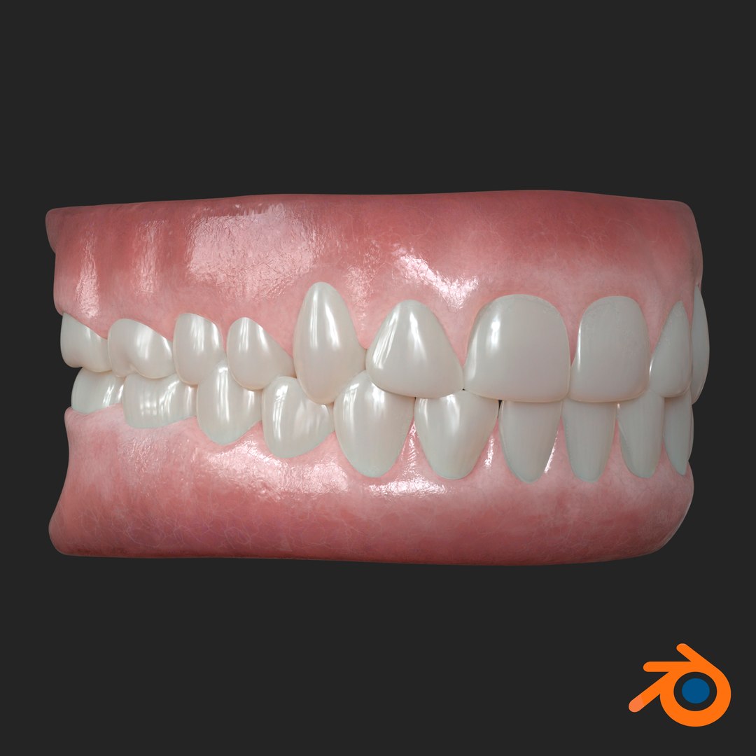 3D Teeth - TurboSquid 1156825