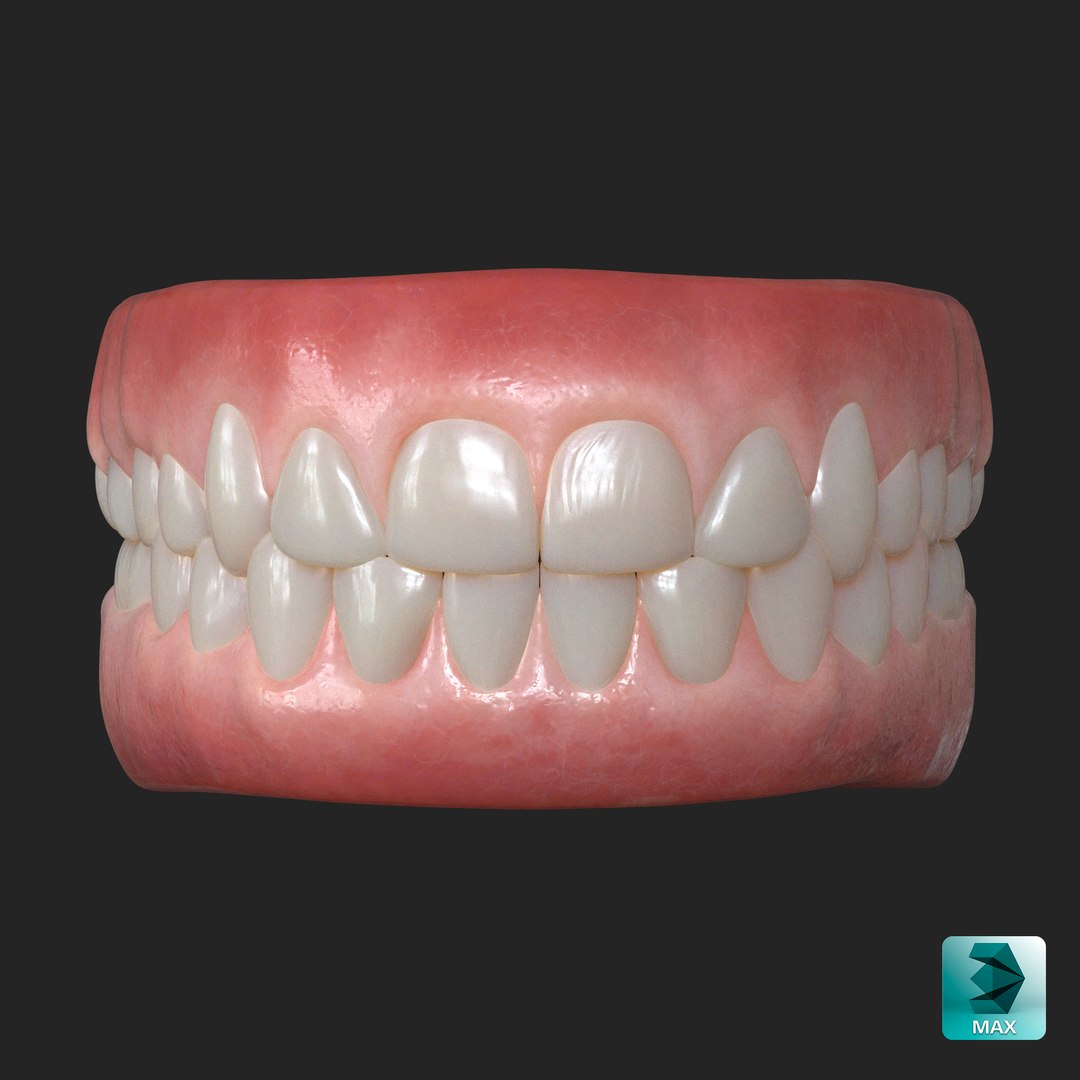 3D Teeth - TurboSquid 1156825