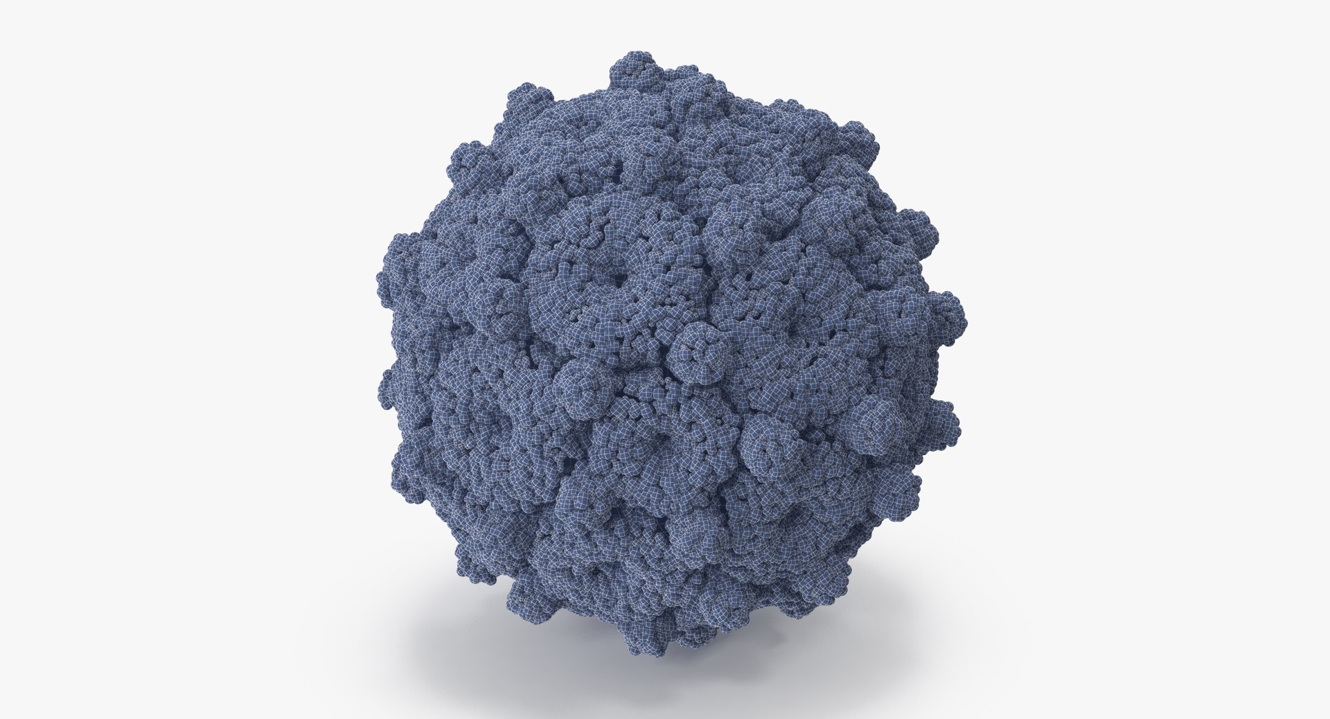 hepatitis b 3d model