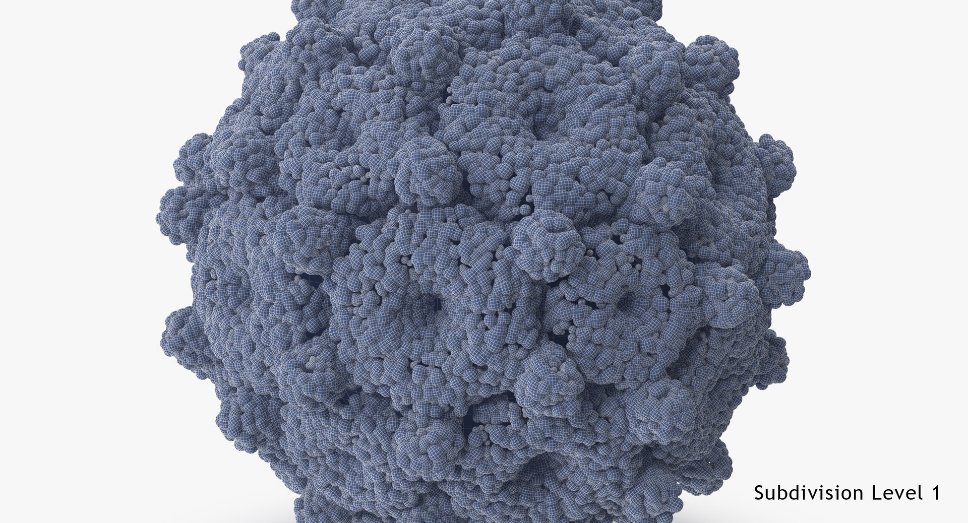 hepatitis b 3d model