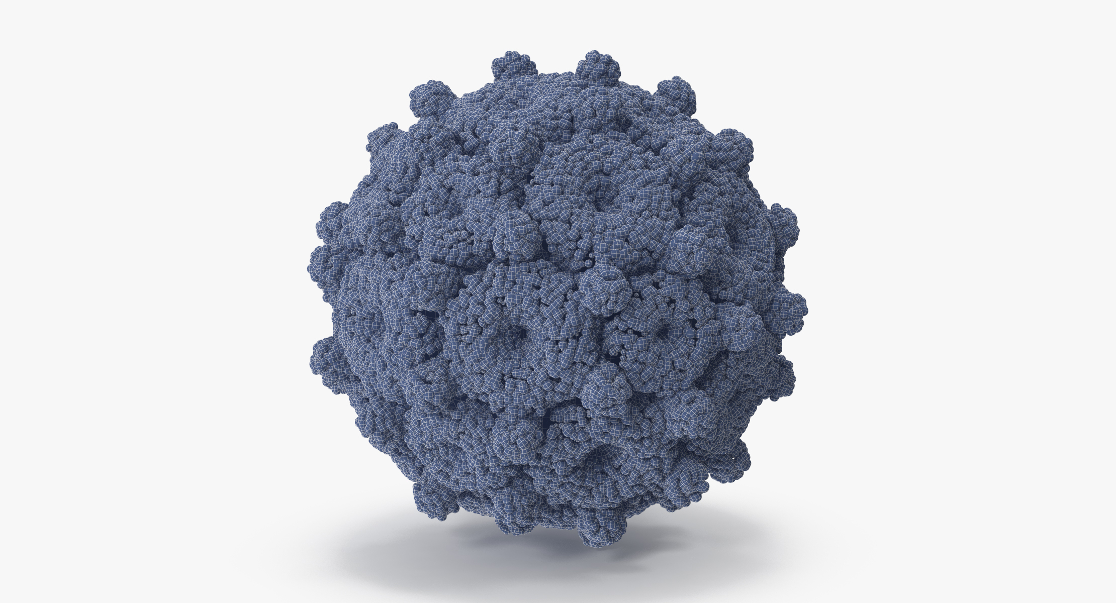 hepatitis b 3d model
