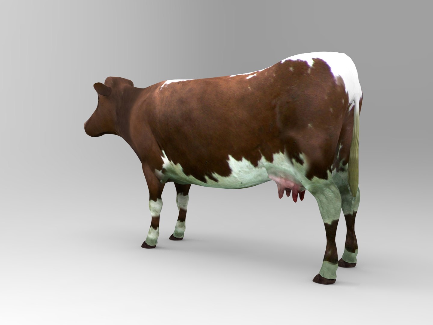 Cow Cattle 3D Model - TurboSquid 1199254