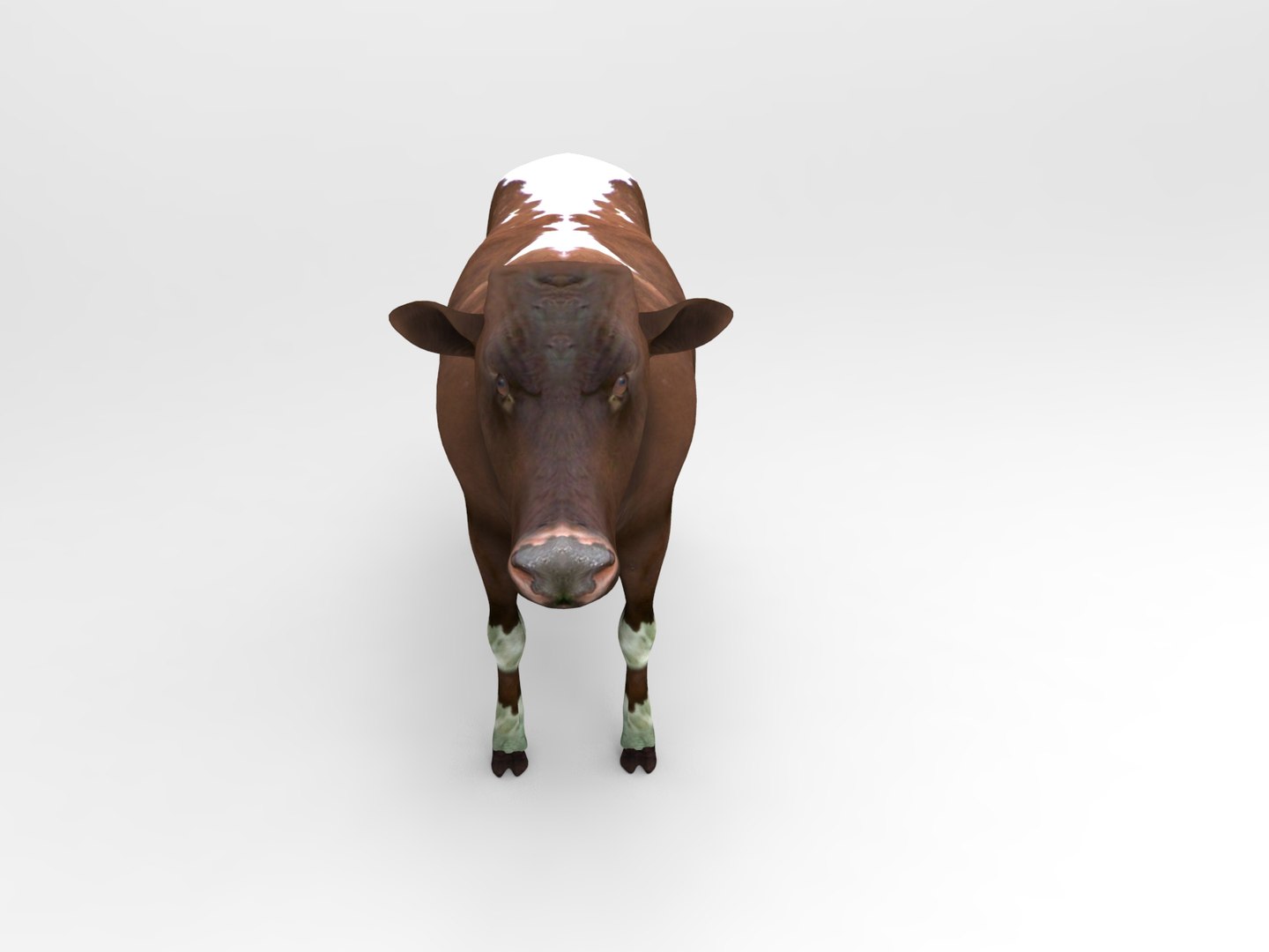 Cow Cattle 3D Model - TurboSquid 1199254