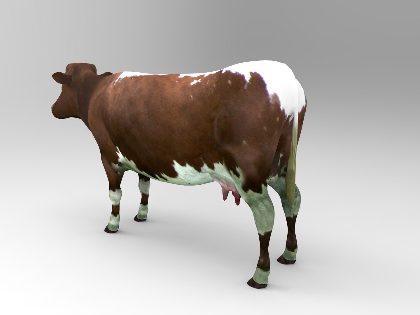 Cow Cattle 3D Model - TurboSquid 1199254