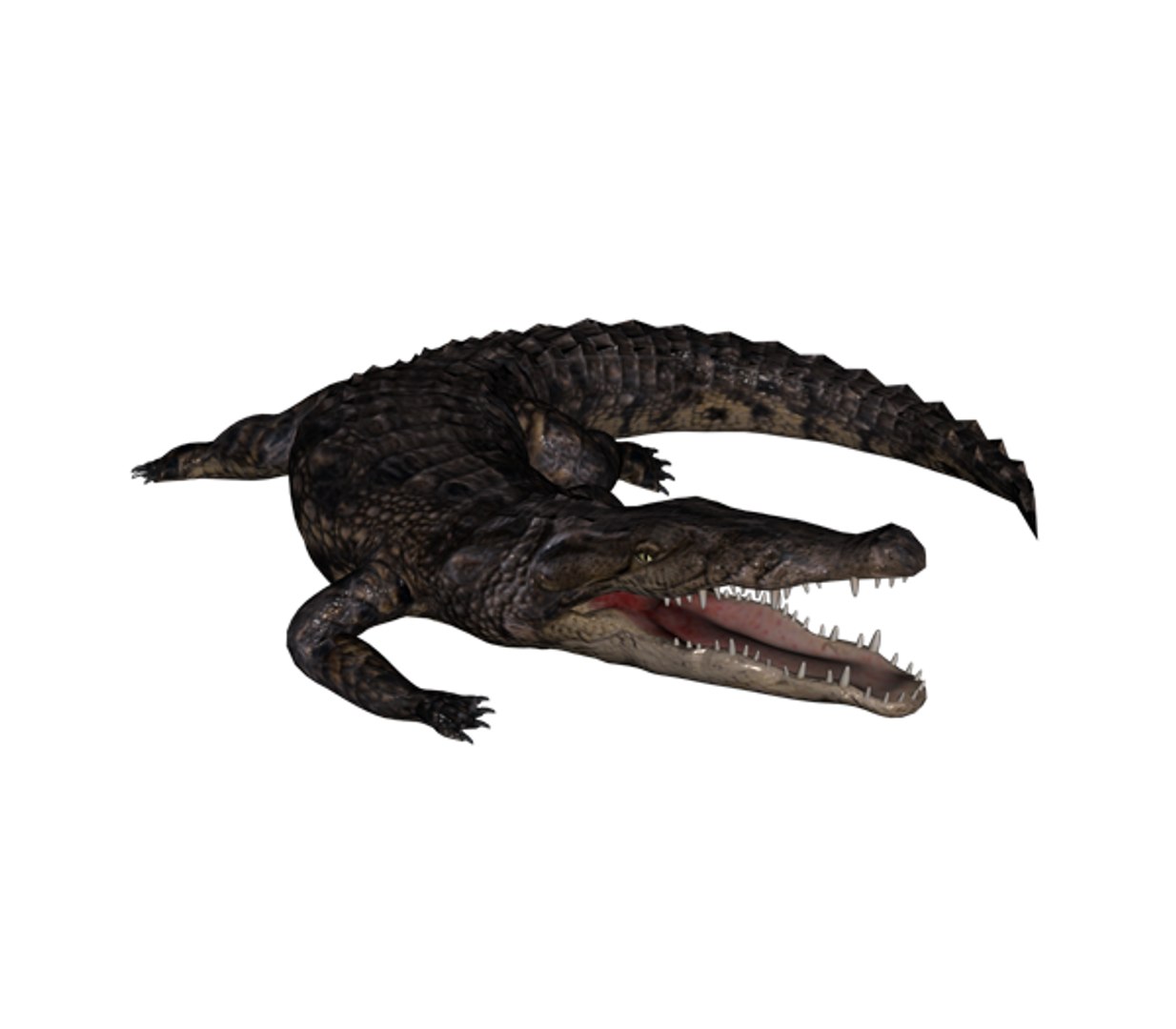 Croco 3D Model - TurboSquid 1290295