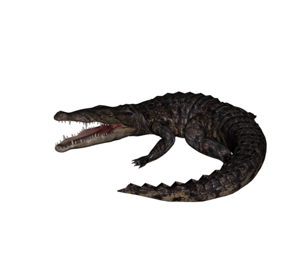 Croco 3D Model - TurboSquid 1290295