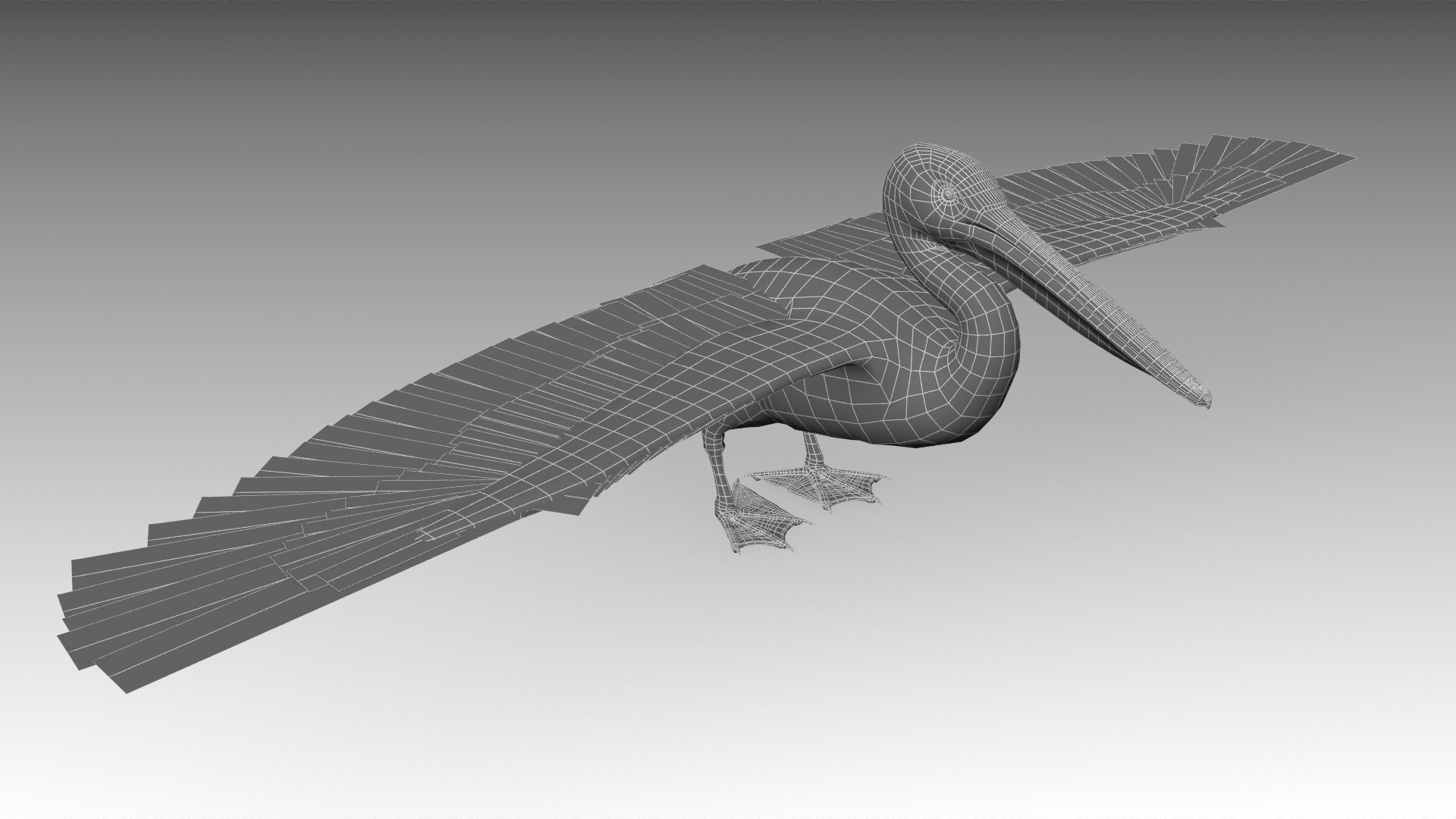 Brown Pelican 3D Model - TurboSquid 1998721