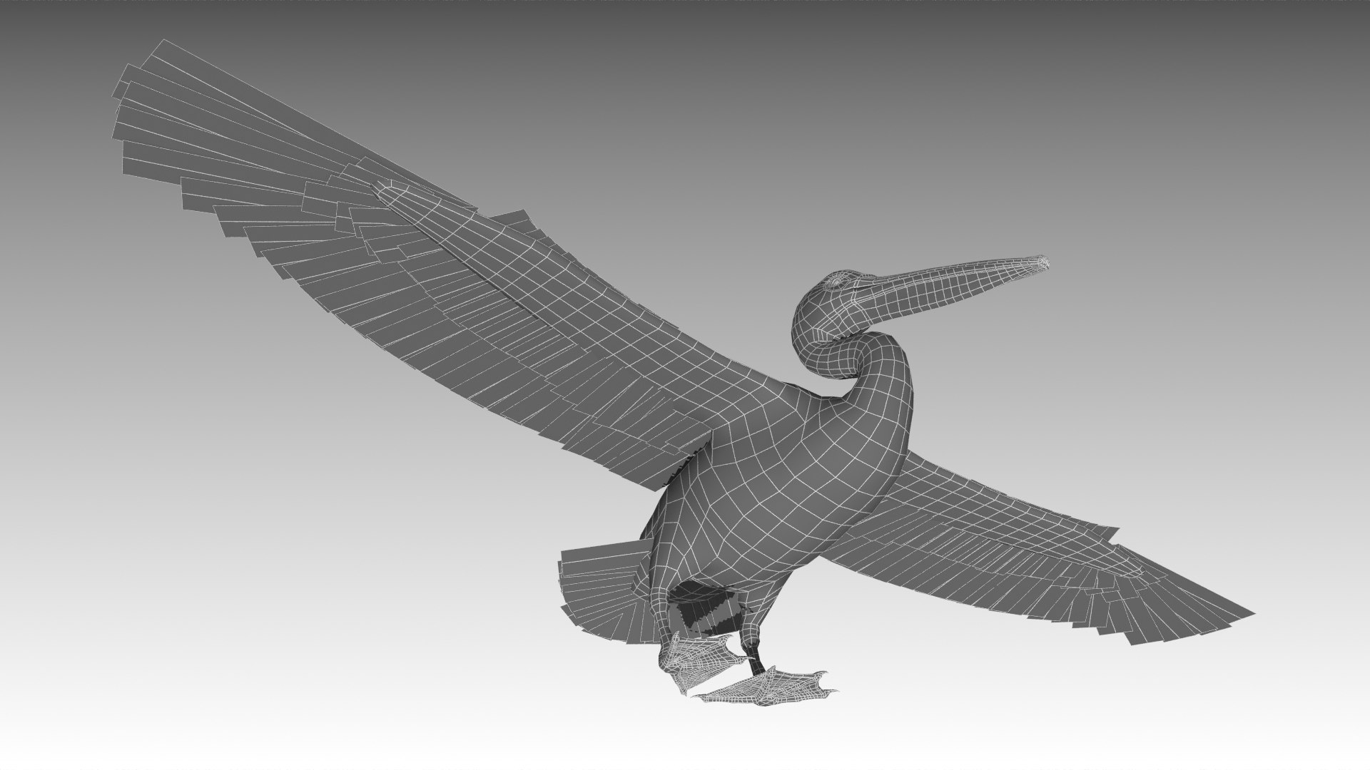Brown Pelican 3D Model - TurboSquid 1998721