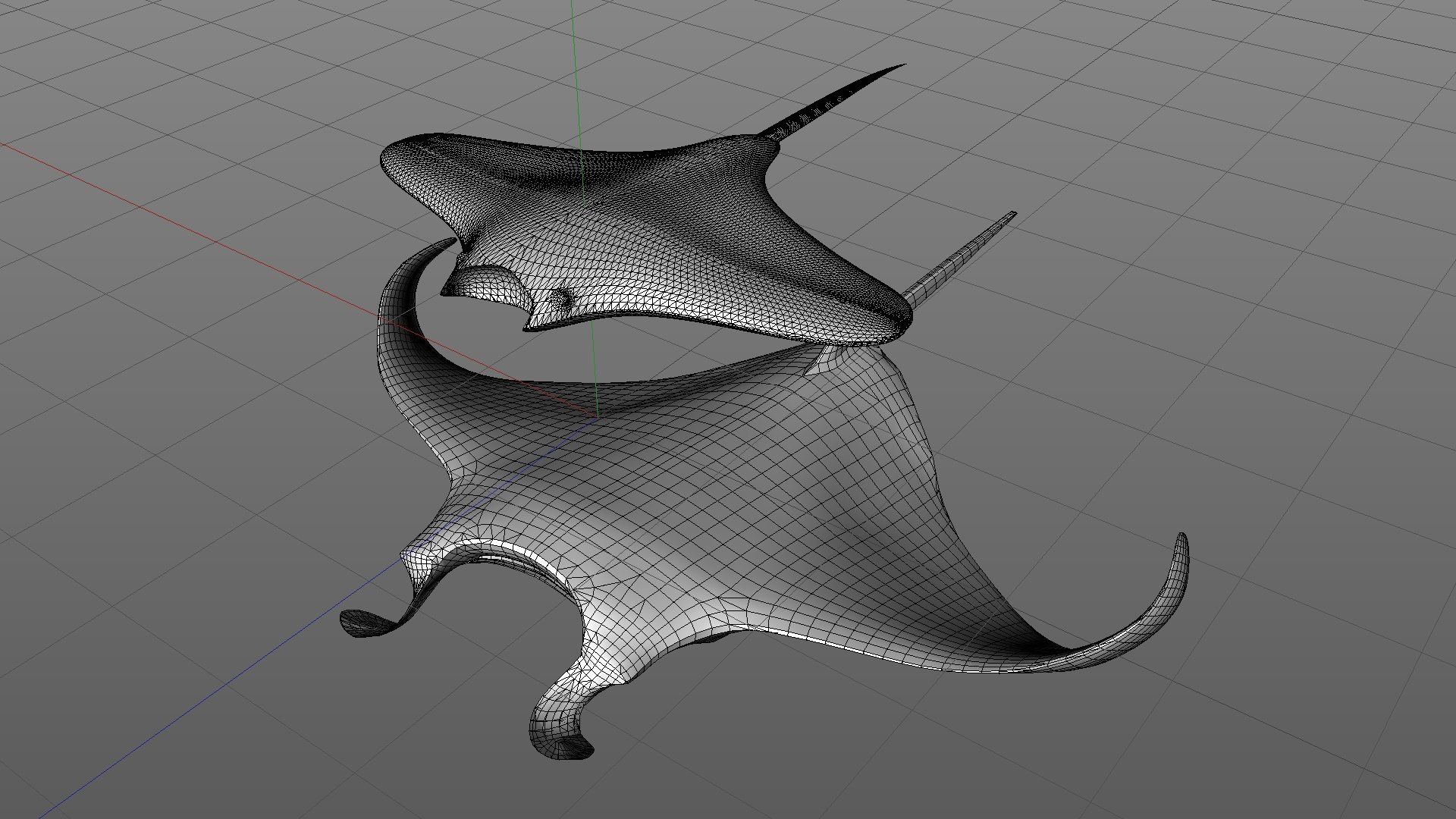 Manta 3D Model - TurboSquid 1689566
