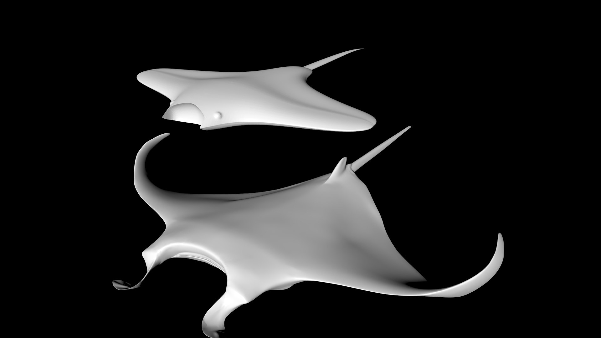 Manta 3D Model - TurboSquid 1689566