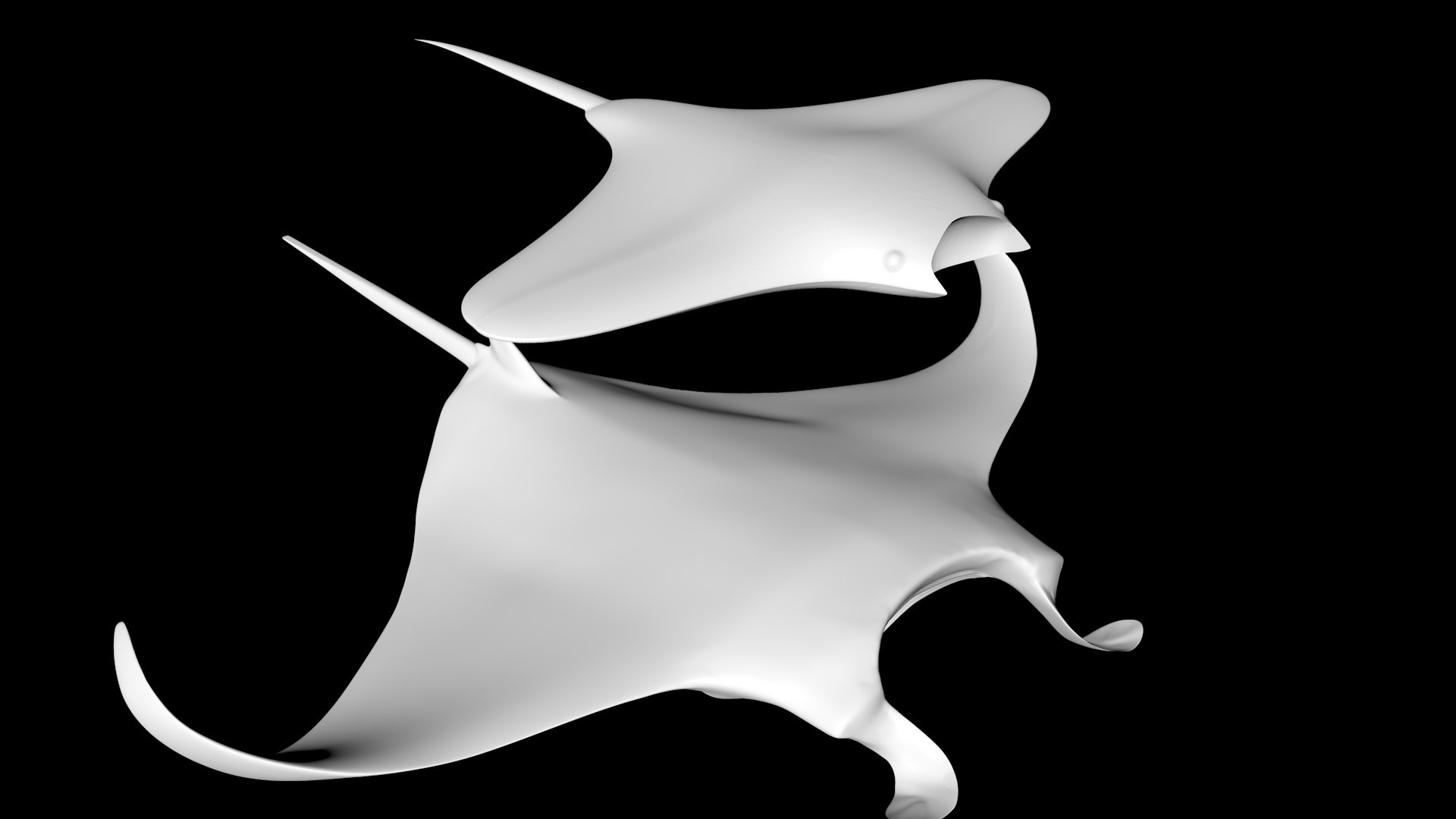 Manta 3D Model - TurboSquid 1689566