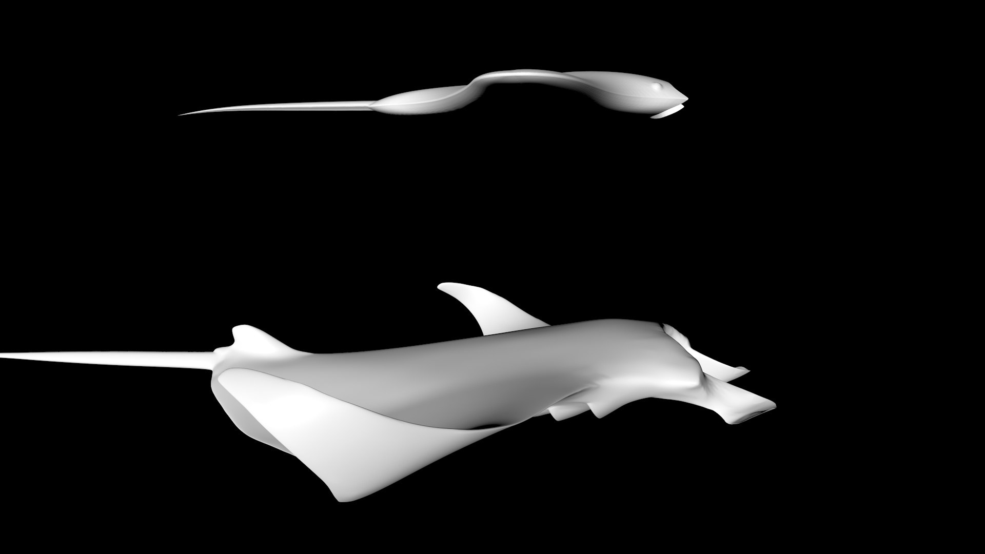 Manta 3D Model - TurboSquid 1689566