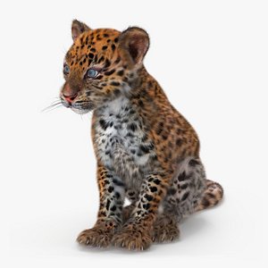 3D Leopard Models - Browse & Download Formats - TurboSquid