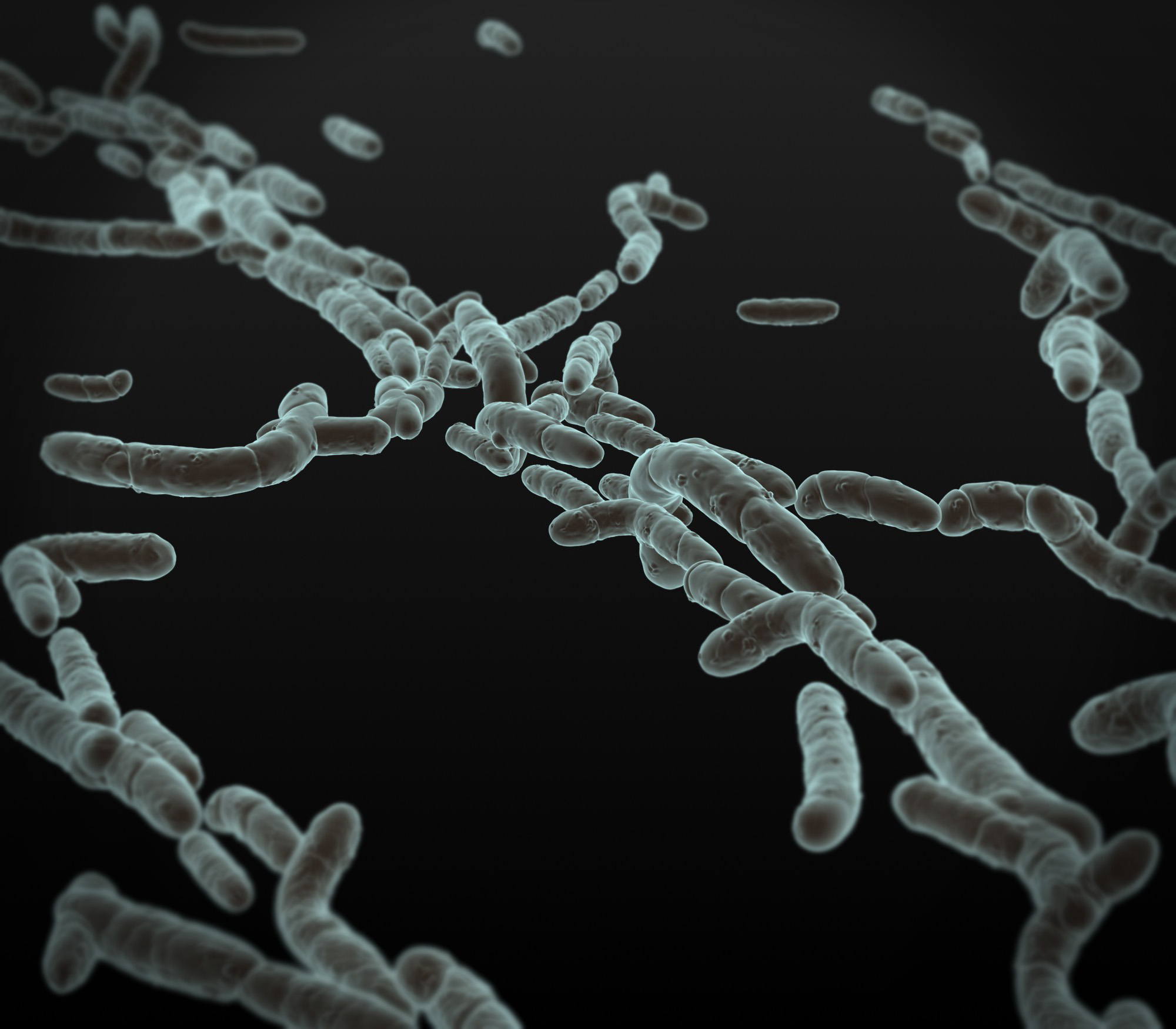 3D bacteria actinobacteria - TurboSquid 1168726