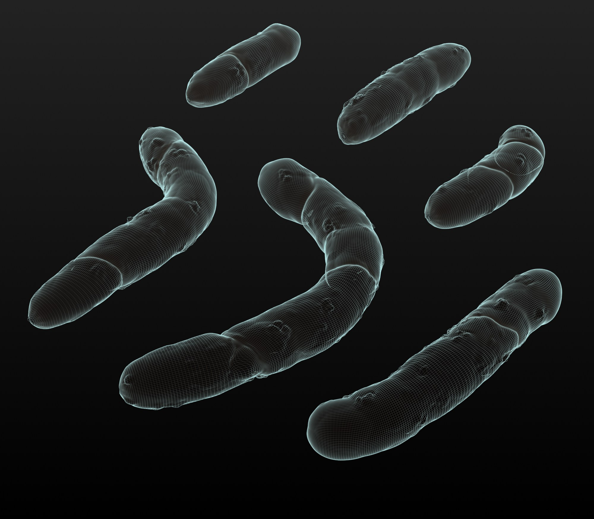 3D bacteria actinobacteria - TurboSquid 1168726
